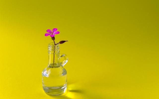 如何離開PUA？ – 代筆小姐 MissDebbie │ 天命事業教練