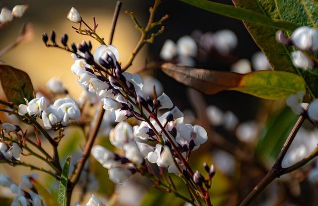 成就感重要嗎？ – 代筆小姐 MissDebbie │ 天命事業教練