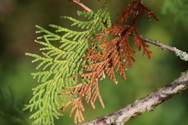 愛你的韓文怎麼說？ – 代筆小姐 MissDebbie │ 天命事業教練