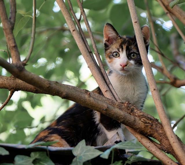 如何與z世代相處？ – 代筆小姐 MissDebbie │ 天命事業教練