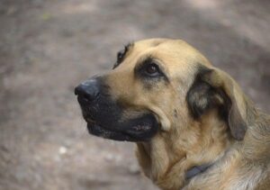 什麼是daddy issue？ – 代筆小姐 MissDebbie │ 天命事業教練